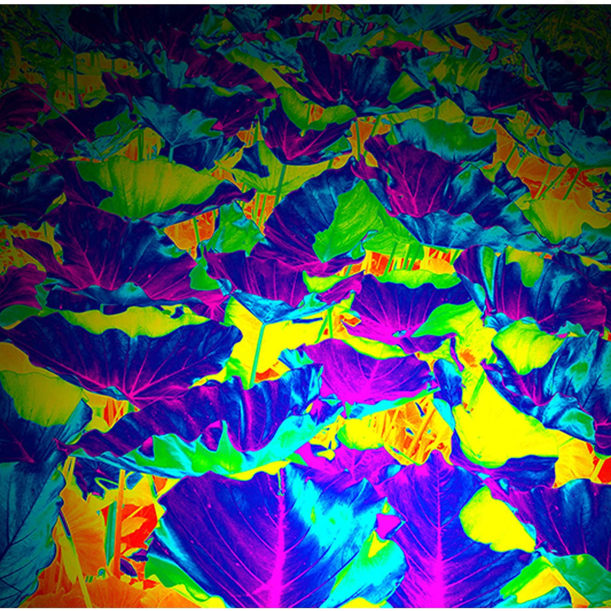 SK (Vol 4) – Crafttatva.com