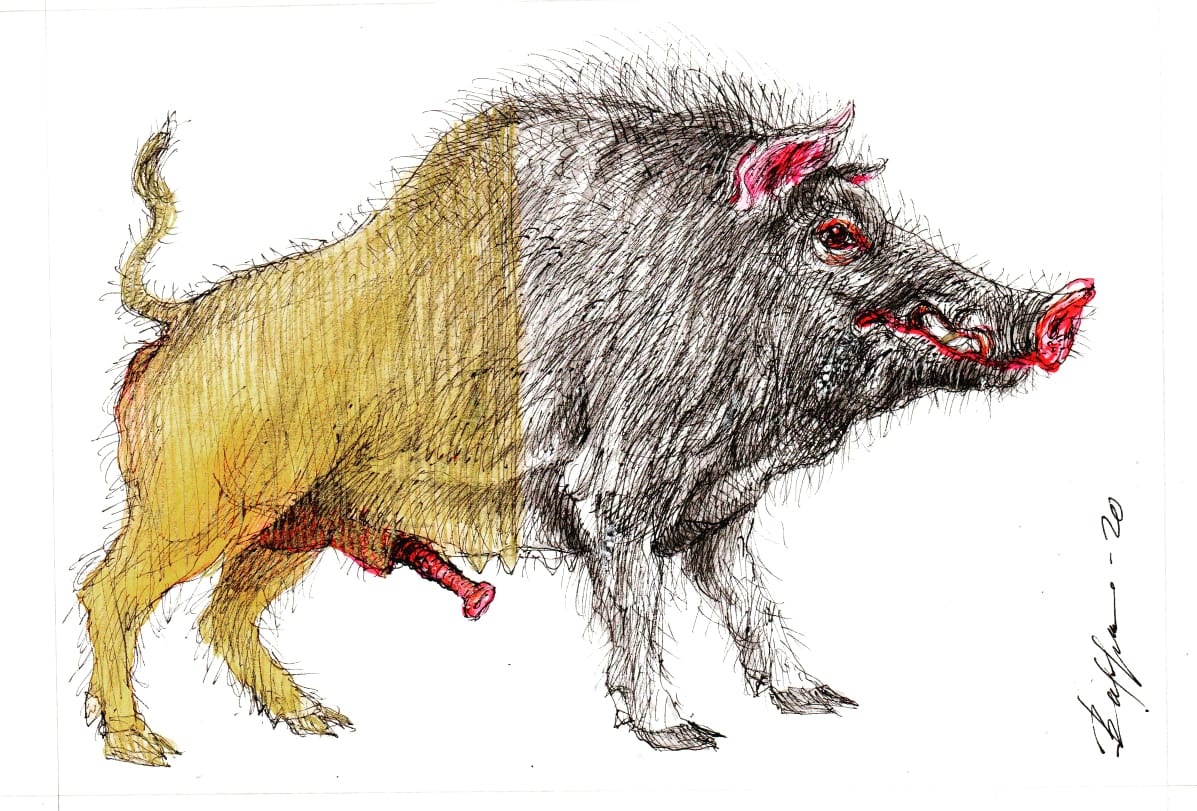 Boar (Vol 2) – Crafttatva.com
