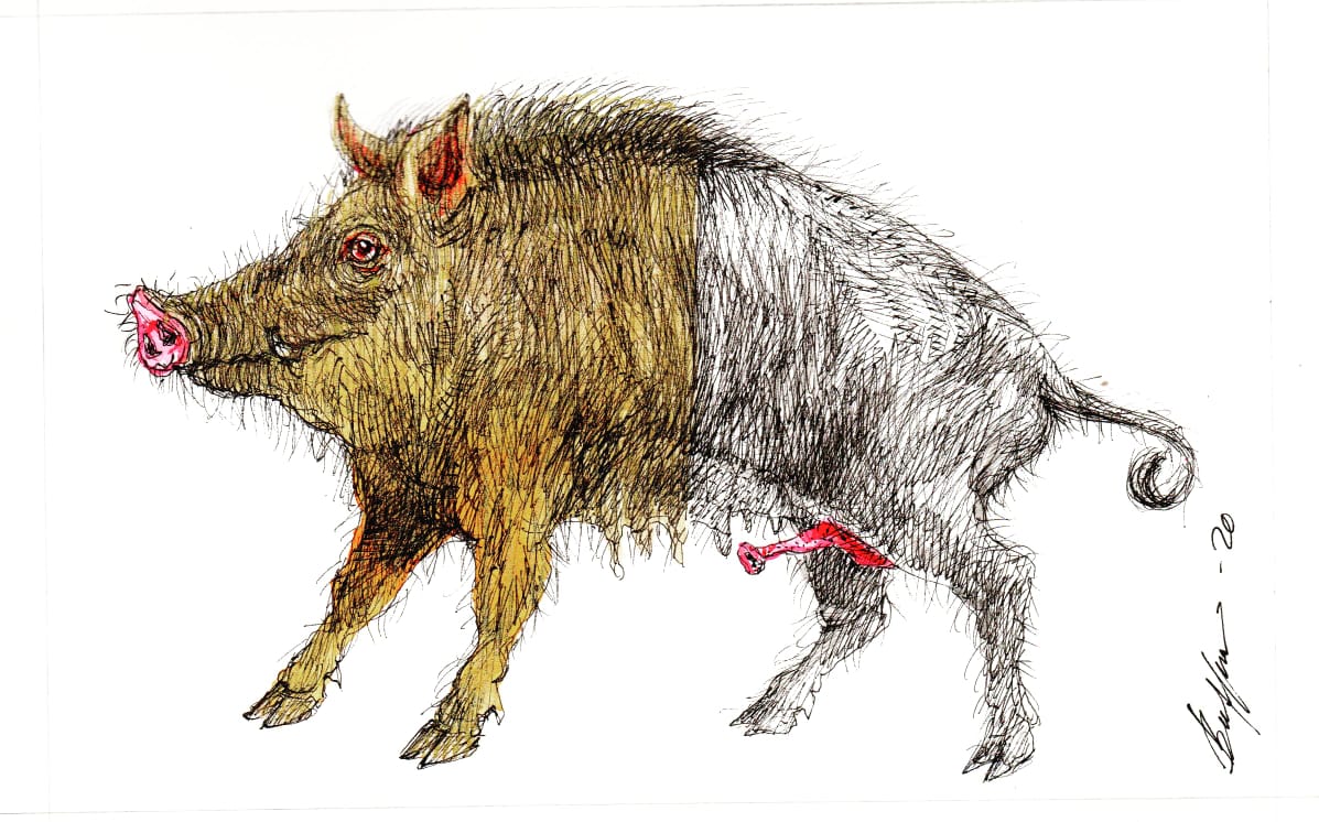 Boar (Vol 3) – Crafttatva.com