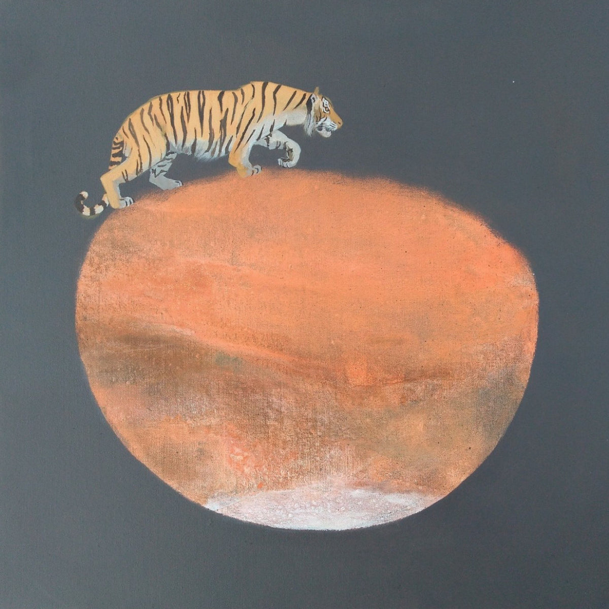 Tiger at Mars – Crafttatva.com