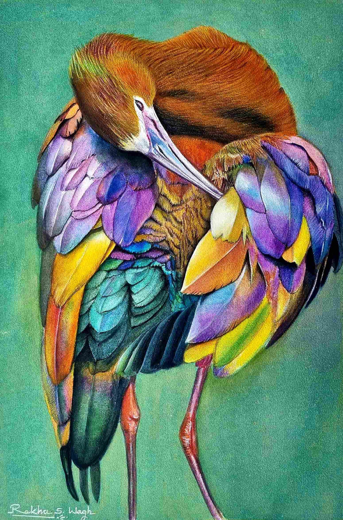 Ibis – Crafttatva.com