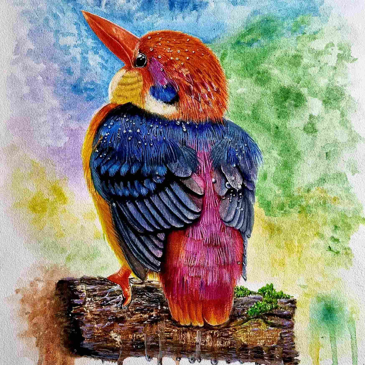 Kingfisher Bird – Crafttatva.com