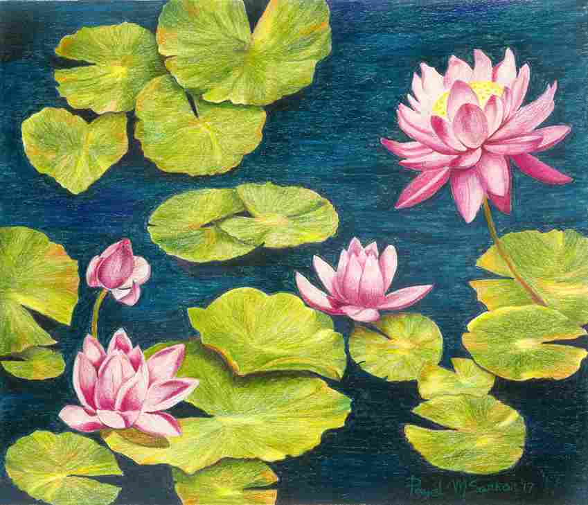 Lotus ( Vol 3 ) – Crafttatva.com