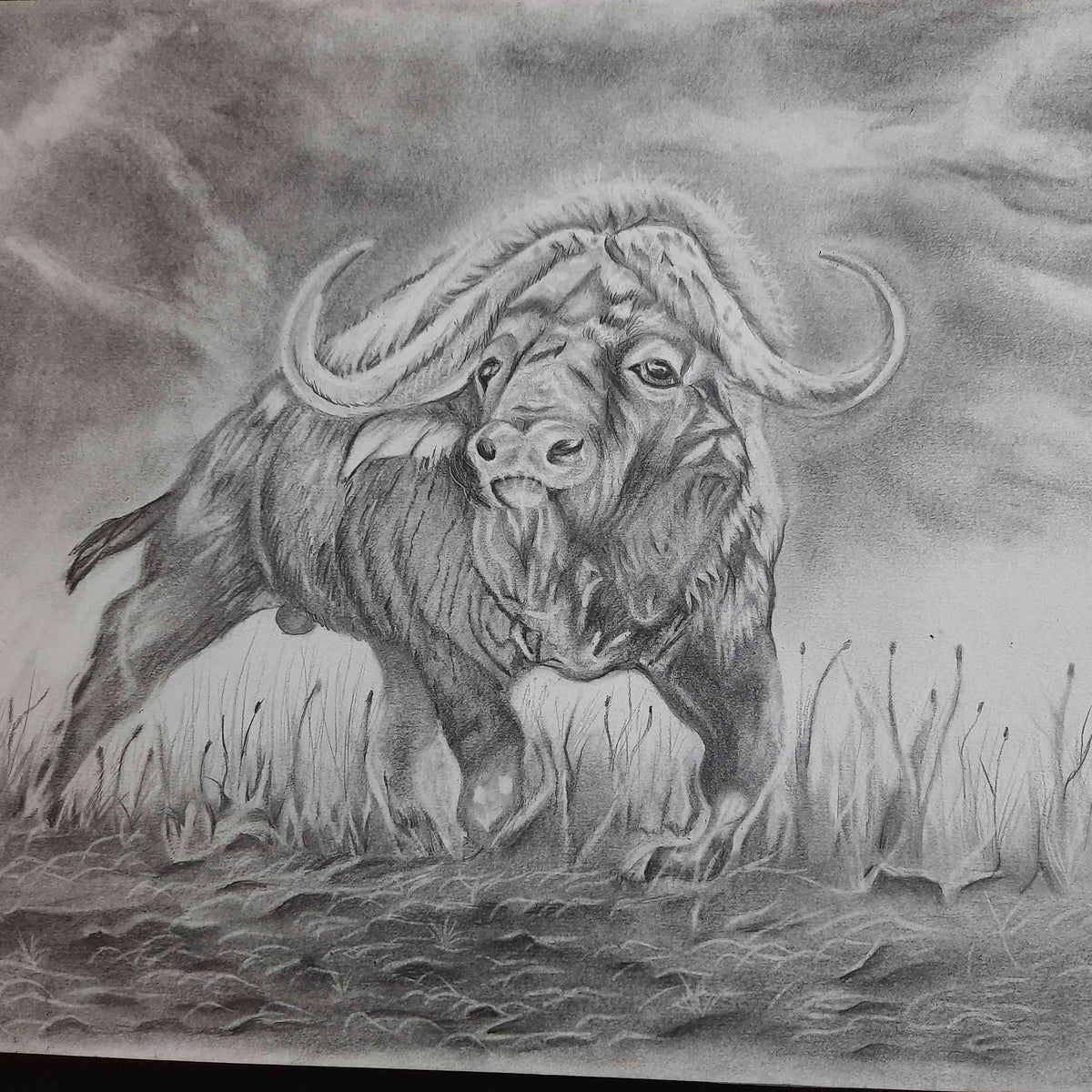 Nature’s fury – Crafttatva.com