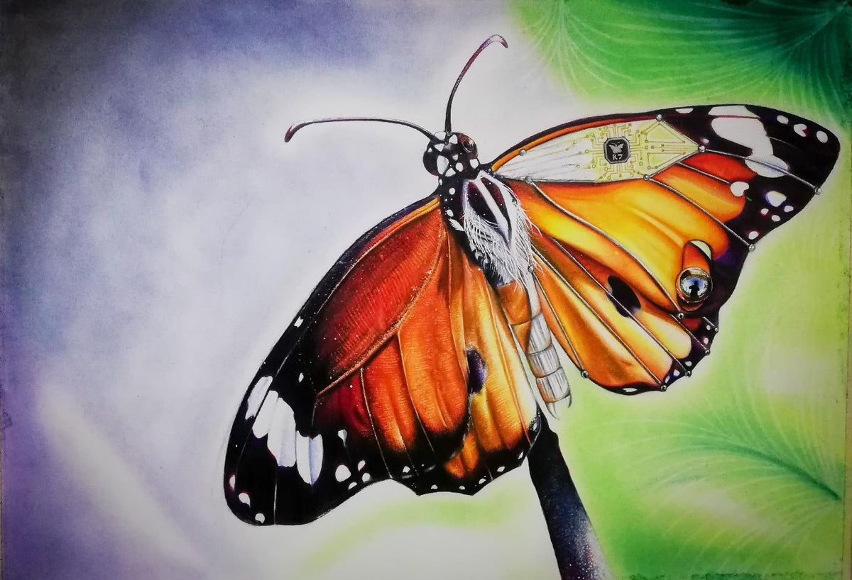 Urbanization – Crafttatva.com